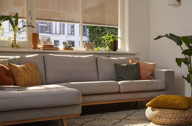 Motors, Controls and Smart Home Solutions | Somfy South Africa